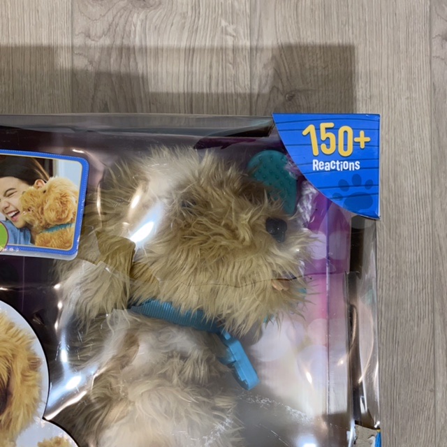 My Fuzzy Friends Moji The Lovable Labradoodle mänguloom - Aarete Laegas ...